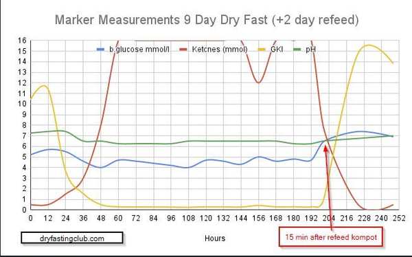 What I Learned after 300 Days of Dry Fasting · Dry Fasting Club